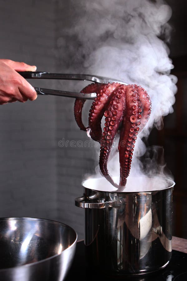 Boiled Octopus in the Hands of the Chef. the Whole Carcass of an ...