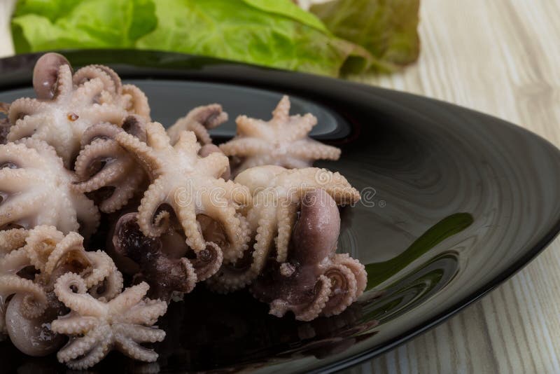 Boiled octopus stock photo. Image of fresh, healthy, food - 48340924