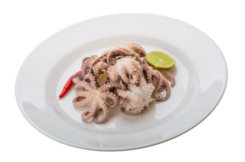 Boiled octopus stock photo. Image of macro, spain, cooking - 40819006