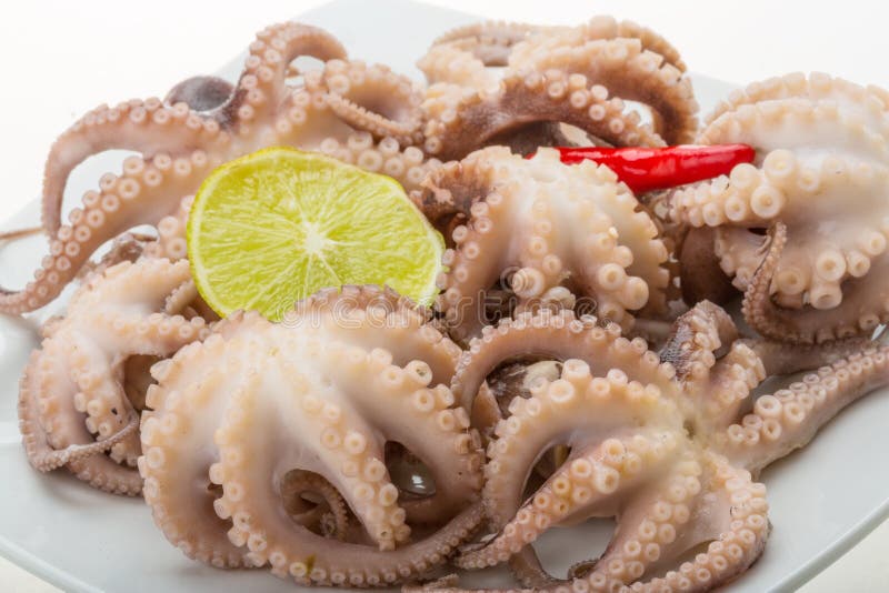 Boiled octopus stock photo. Image of cuisine, isolated - 40819156