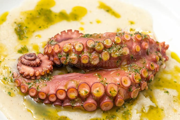 Boiled octopus stock image. Image of frame, fair, braised - 31410281