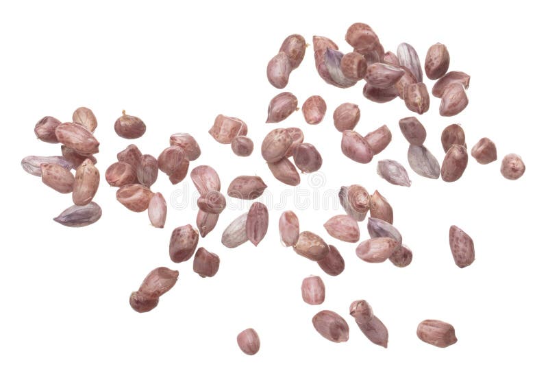 Peanut Fall, Brown Grain Peanuts Explode Abstract Cloud Fly from ...