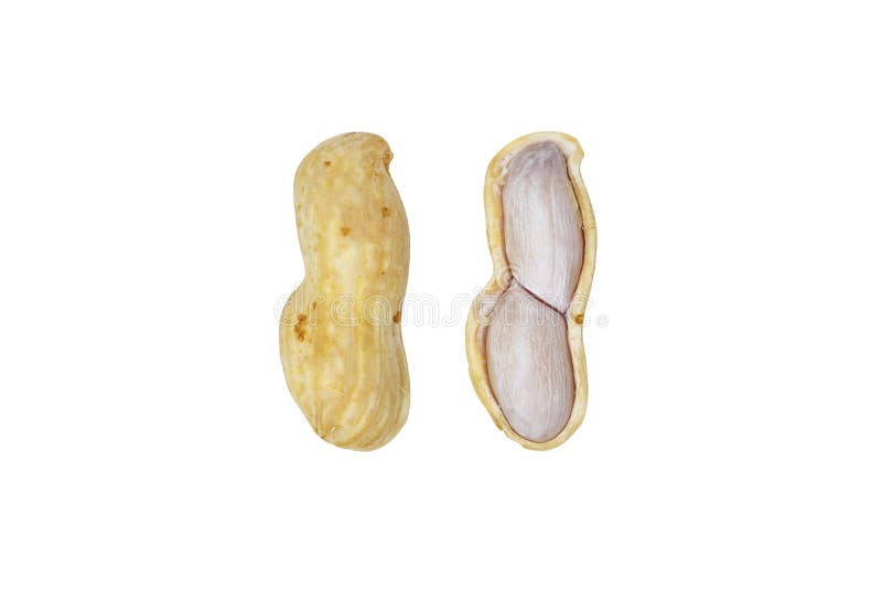 Boiled peanut stock photo. Image of food, protein, snack - 75267998