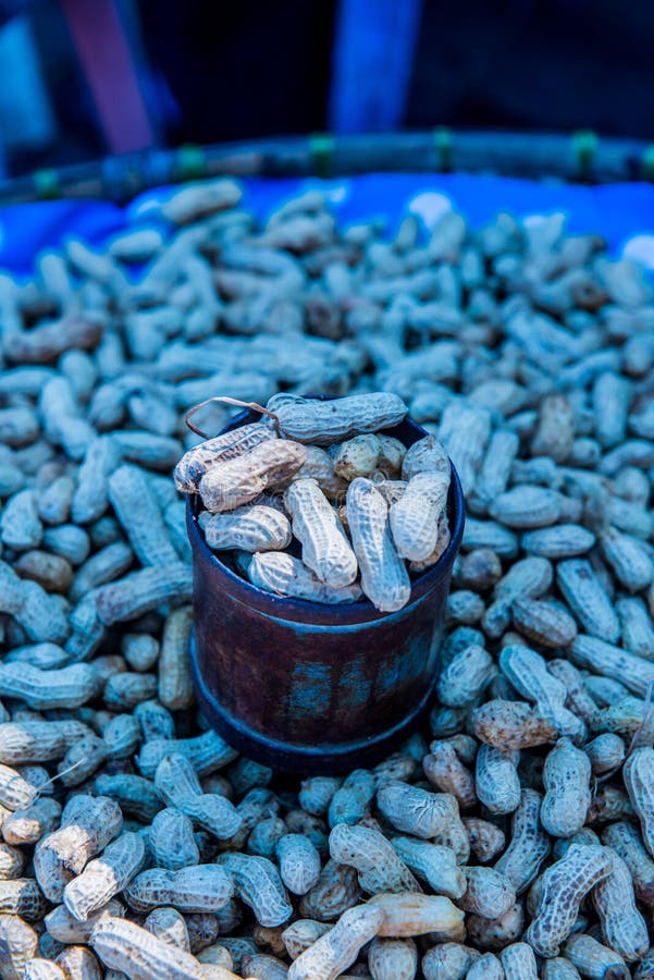 641 Peanut Stand Stock Photos - Free & Royalty-Free Stock Photos from ...