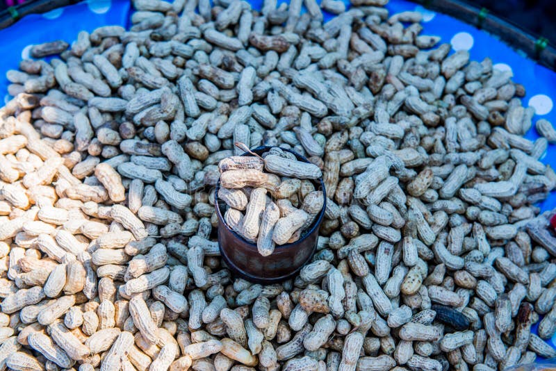 Boiled peanut on stand stock photo. Image of style, snack - 177417336
