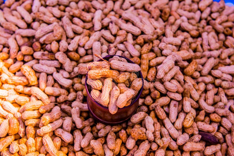 Boiled peanut on stand stock photo. Image of health - 187618278