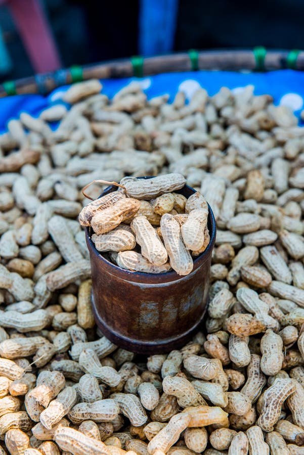Boiled peanut on stand stock image. Image of stand, nutrition - 207548293