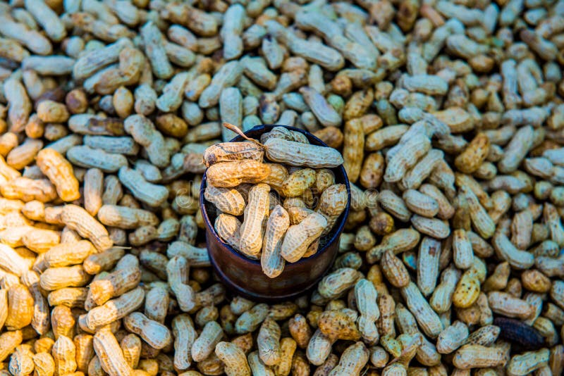 Boiled peanut on stand stock image. Image of closeup - 207548309