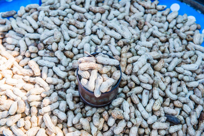 Boiled peanut on stand stock photo. Image of clipping - 246939126