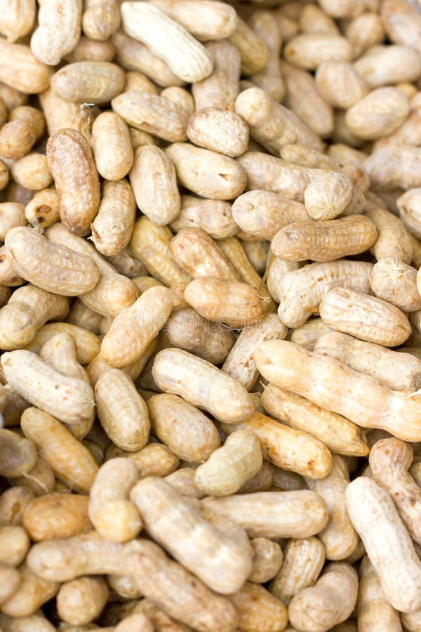 Boiled Peanuts. stock image. Image of appetizer, peel - 36384049