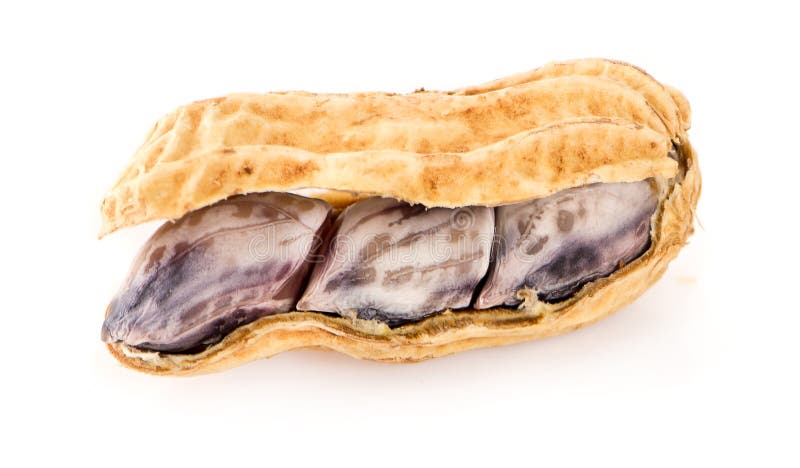 Boiled Peanuts Isolated on White Stock Photo - Image of groundnut ...