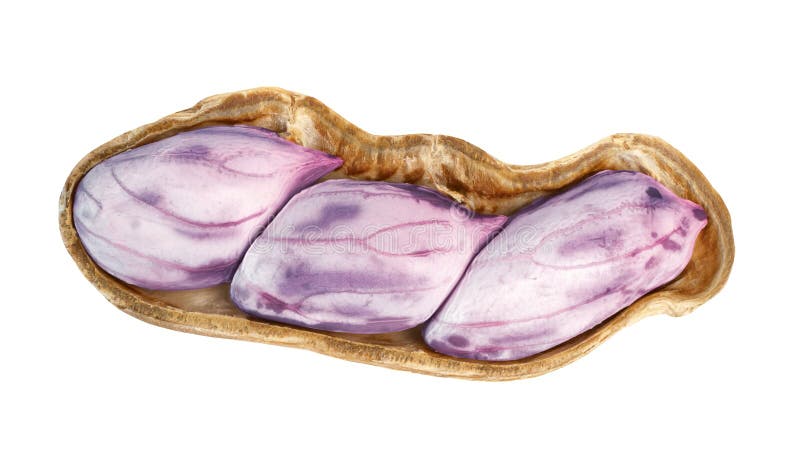 Boiled Peanuts Isolated on White Background Stock Image - Image of ...