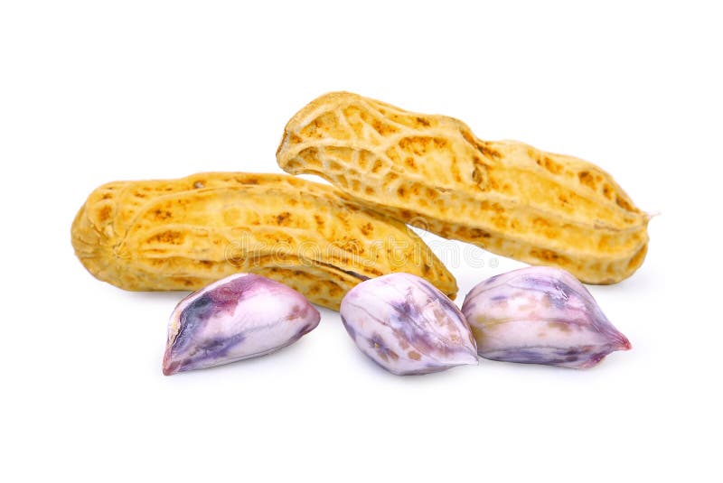 Boiled Peanuts Isolated on White Stock Photo - Image of nutshell ...