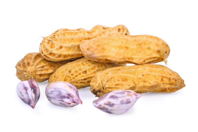 Boiled Peanuts Isolated on White Background Stock Photo - Image of ...