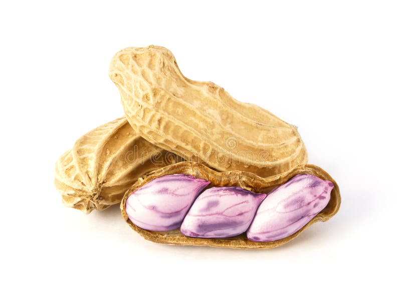 Boiled Peanuts Isolated on White Background. Pile of Peanuts Stock ...