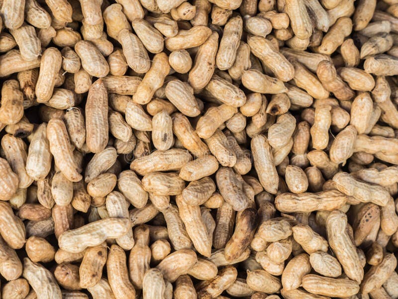 Boiled Peanuts in Local Market Stock Image - Image of market, nature ...