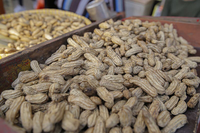 Boiled peanuts stock image. Image of meal, isolated - 348094043