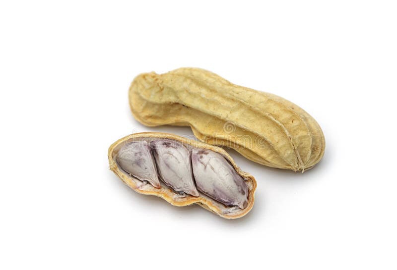 Boiled peanuts stock image. Image of protein, organic - 70672401