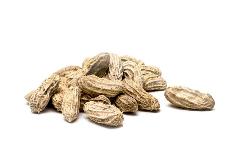 Boiled peanuts stock image. Image of group, nutrient - 75270211