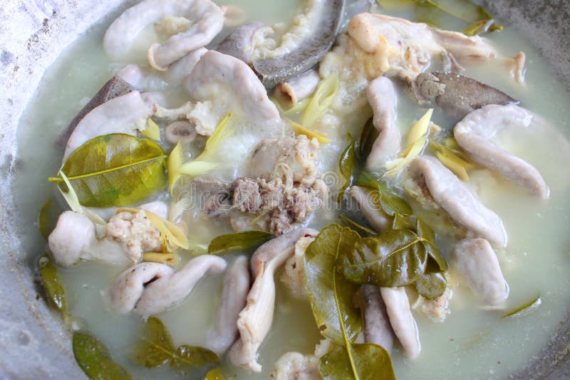 Boiled pork and entrails stock image. Image of closeup - 74746705