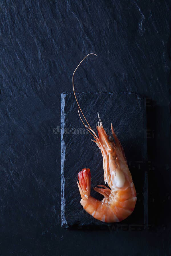 Boiled Prawn on Black Slate, Top View. Stock Image - Image of catering ...