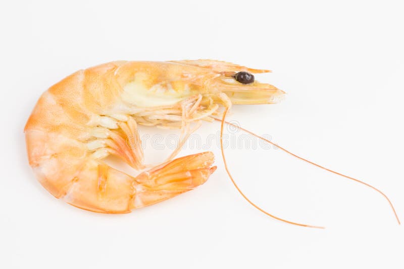 Appetizer with prawn stock photo. Image of cucumber, snack - 57370262