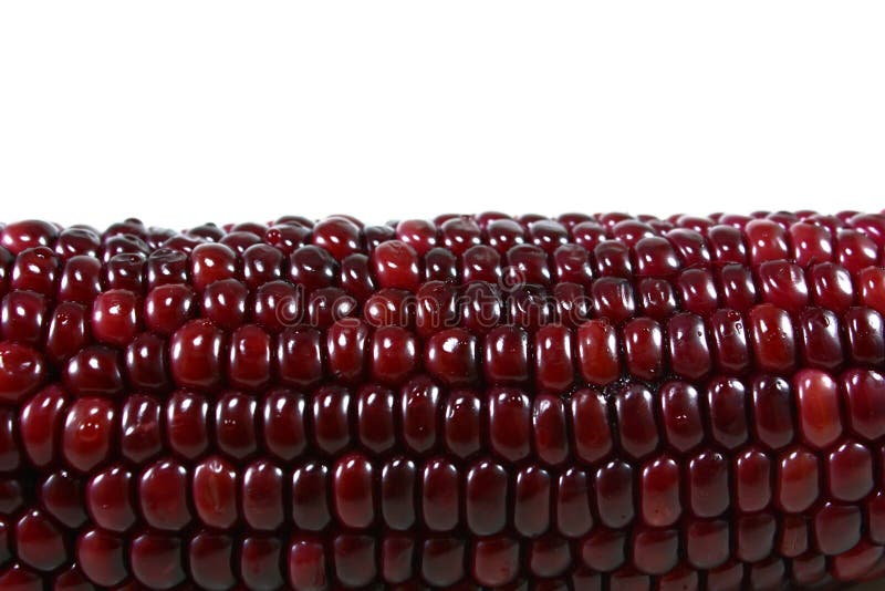 Boiled red corn stock image. Image of ingredient, sweet - 28290181