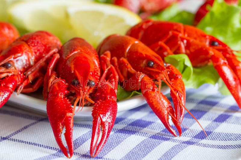 Boiled Red Crayfish on the Plate Food Concept Stock Photo - Image of ...
