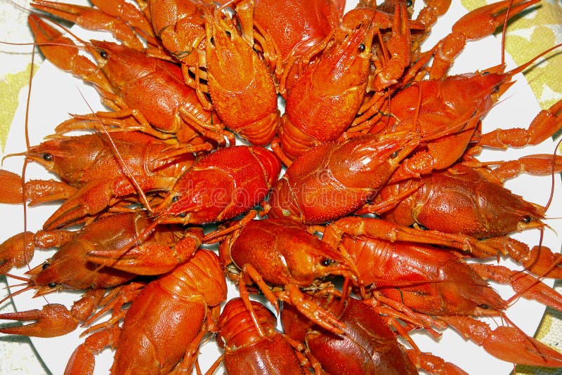 Boiled Red Crayfish on a Plate Stock Photo - Image of crawdads, food ...