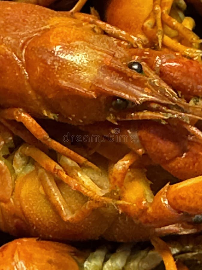 Boiled River Crayfish of Red Color. Extra Close Up Stock Image - Image ...