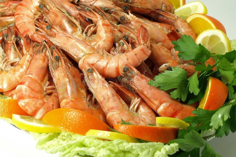 Boiled shrimp buffet stock image. Image of garnish, food - 7678789