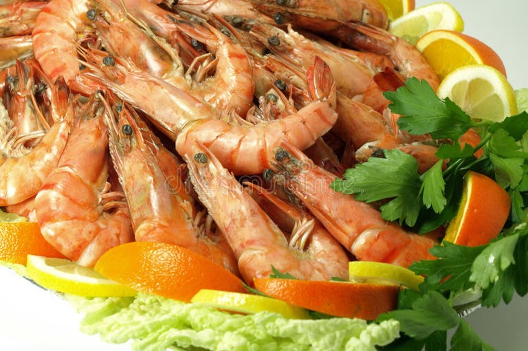 Boiled shrimp buffet stock image. Image of garnish, food - 7678789