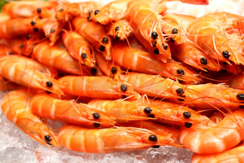 Boiled shrimp on ice stock image. Image of delicious - 33631953