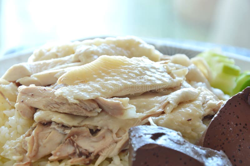 Boiled Slice Chicken Topping on Rice Stock Photo - Image of skin, rice ...