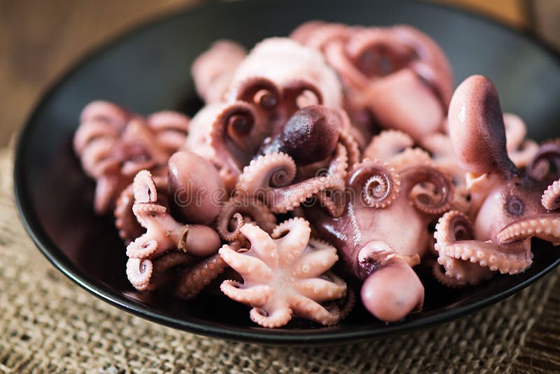Small octopus stock photo. Image of ocean, healthy, isolated - 7833020