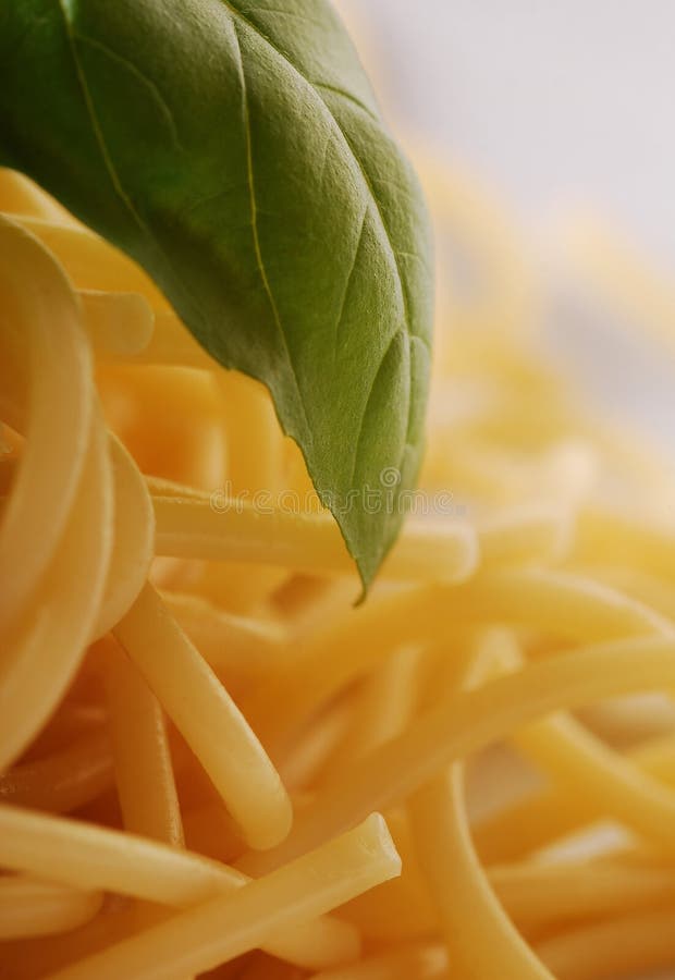Boiled spaghetti stock image. Image of lunch, basil, cook - 25018575