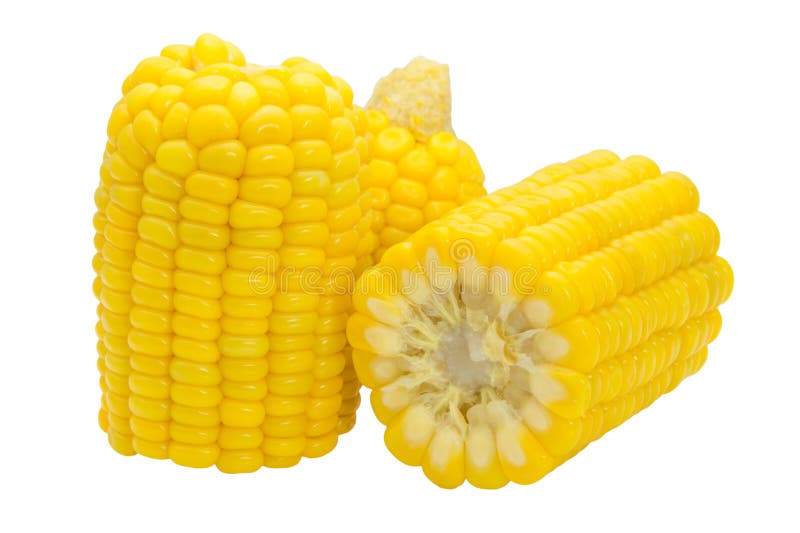 Boiled Corn Isolated on the White Background Stock Image - Image of ...