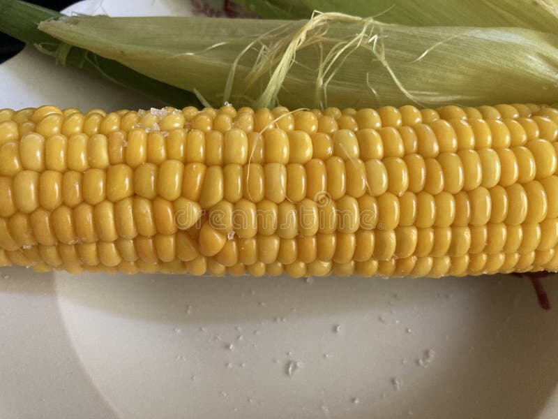 Boiled Sweet Corn with Large Kernels Stock Image - Image of organic ...