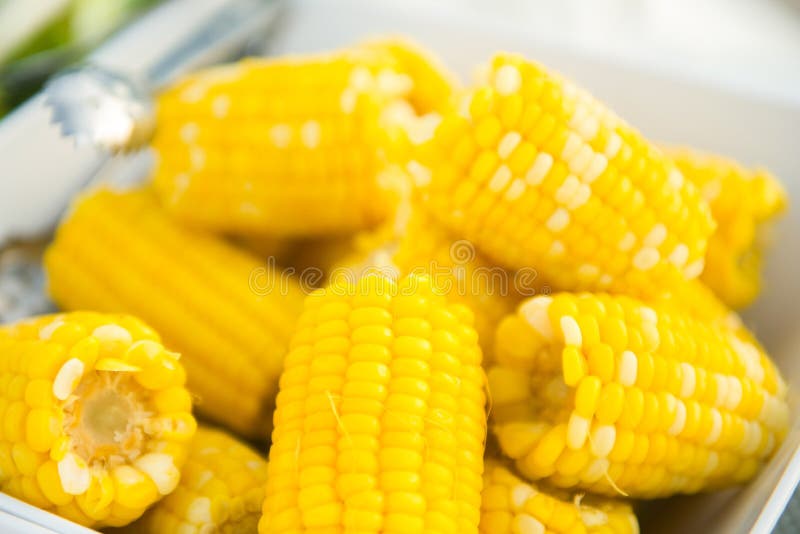 Boiled sweet corn pieces stock photo. Image of breakfast - 68174700