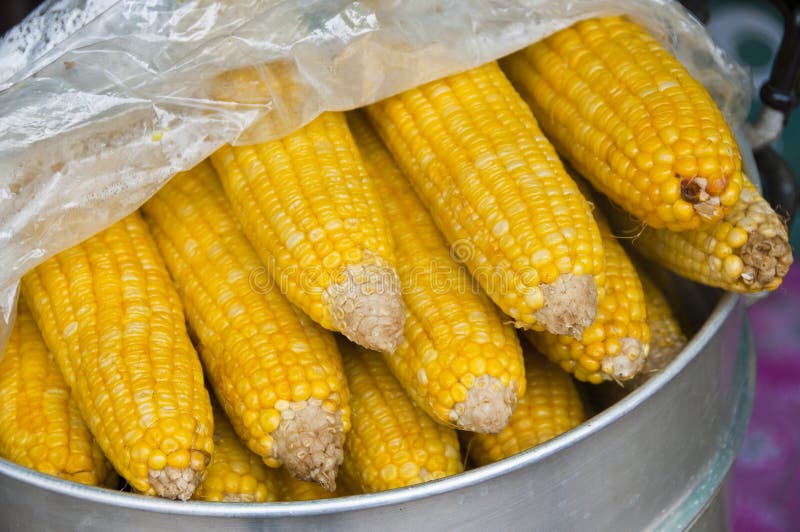 Boiled sweet corn. stock image. Image of maize, corn - 32928857