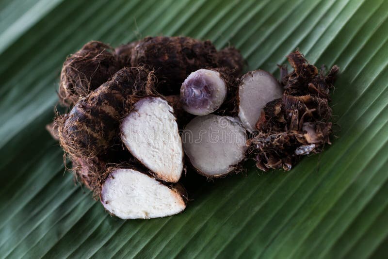Peeled Taro Stock Photos - Free & Royalty-Free Stock Photos from Dreamstime