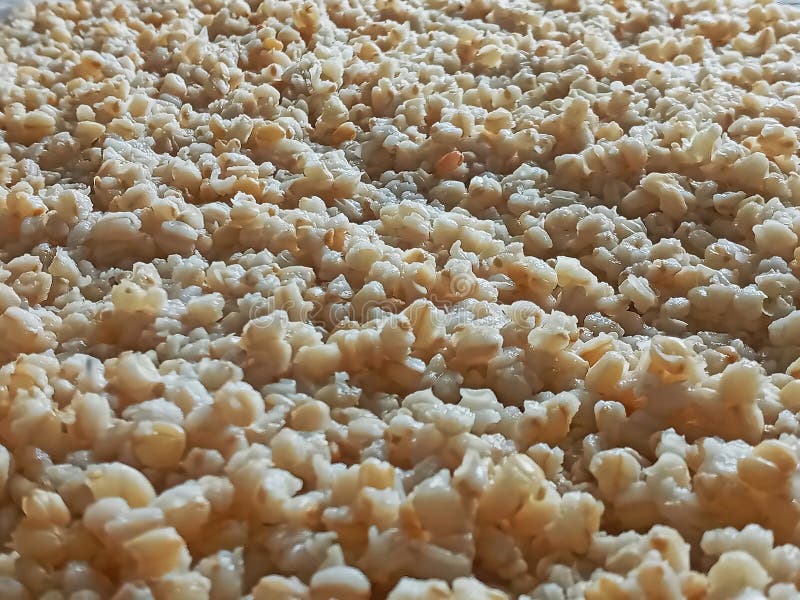 Boiled Wheat Grains Glued Together Stock Image - Image of cooked, seeds ...