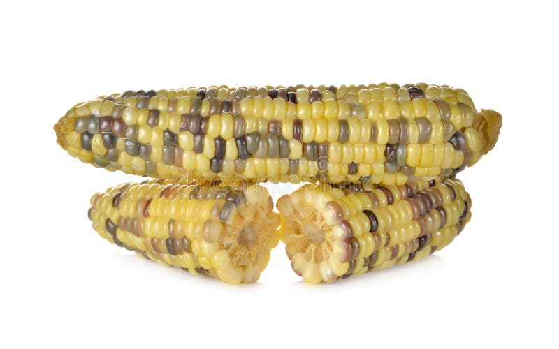 Boiled White Corn Glutinous Corn White Stock Photos - Free & Royalty ...