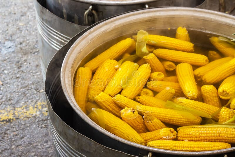 Boiled Yellow Corn Cobs, Street Food Stock Photo - Image of sale ...