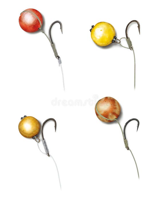 Advanced Hair Rigs Stock Illustrations – 1 Advanced Hair Rigs Stock ...