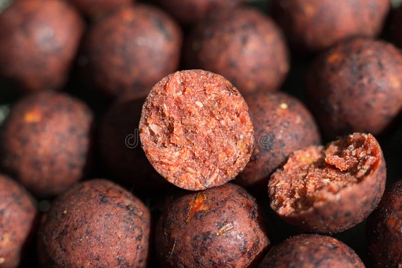 Boilies, Fishing Baits, Close Up Stock Photo - Image of focus, food ...