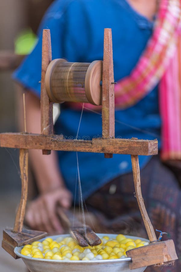 Boiling cocoon silkworm stock image. Image of animal - 84655659