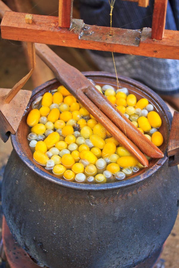 Boiling cocoons in a pot stock image. Image of asia, agriculture - 35437189