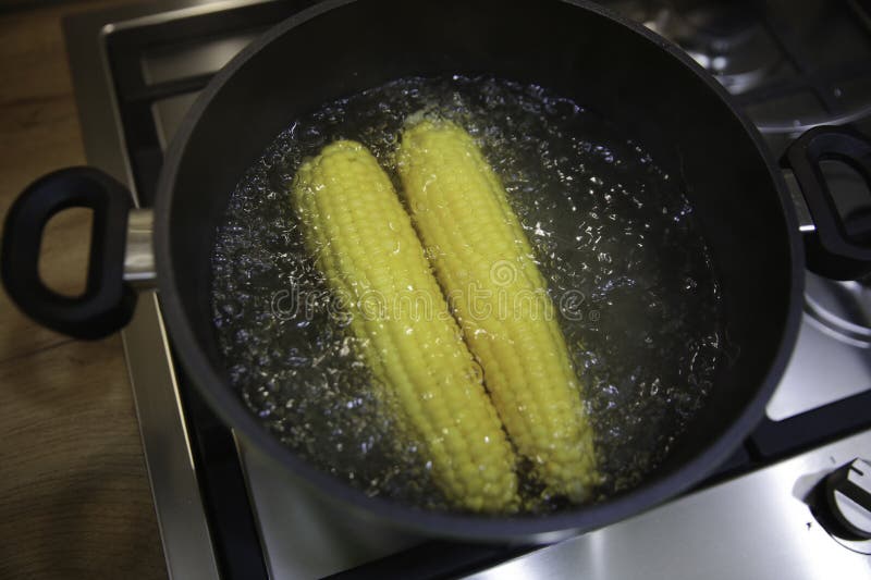Boiling Corn in a Boil Water in the Pan Stock Photo - Image of close ...