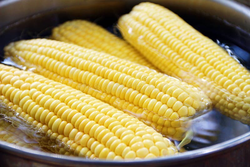 Boiling corn in pot stock photo. Image of water, vegetable - 188852830